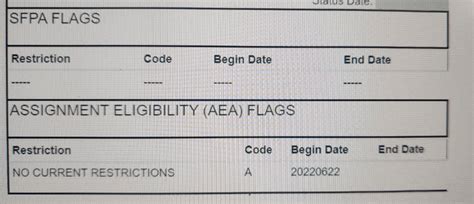 Hey Guys Does Anyone Know What This Code A Means For Aea Flags On Ippsa R Army