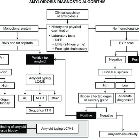 Current Treatment Algorithm In Light Chain Amyloidosis Cybbord