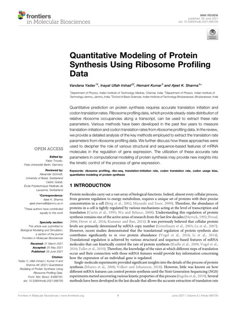 Pdf Quantitative Modeling Of Protein Synthesis Using Ribosome