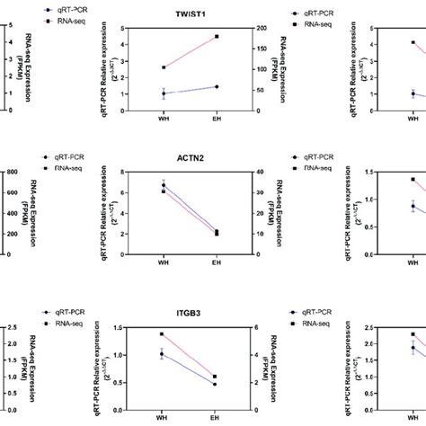Rt Qpcr Validation For Genes Expression The Red Line In The Graph