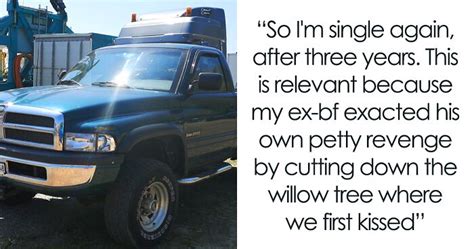 After A Break Up Ex Babefriend Cut Down Their Tree So This Woman Forwarded His Text Bragging