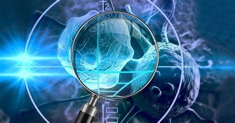 How Ai Powered Web Applications Are Revolutionizing Education By Personalizing Learning And