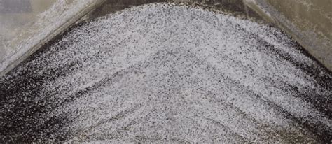 Segregation To Homogeneity The Science Of Particle Control • Bulkinside