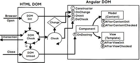 Understand Component Life Cycle In Angular