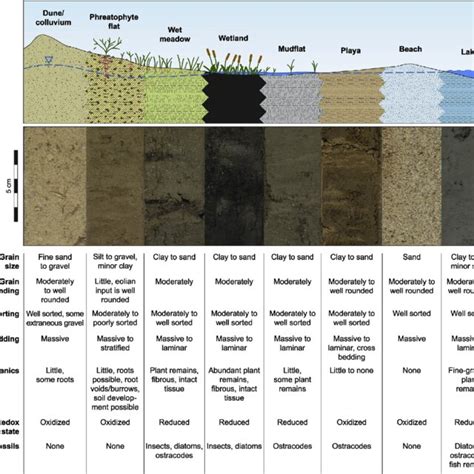 A Schematic Representation Of Depositional Facies And Associated
