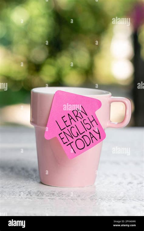 writing displaying text learn english today conceptual photo gain or