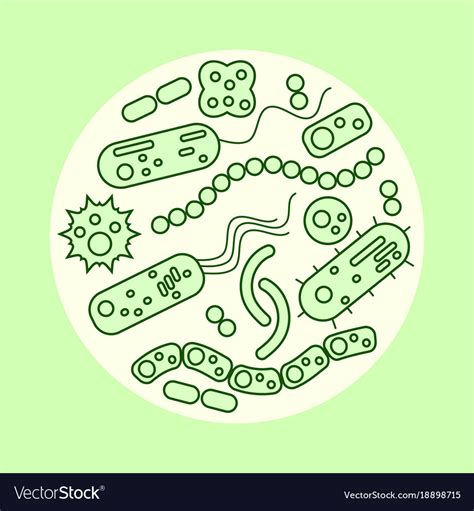 Different Bacteria In A Circle Royalty Free Vector Image