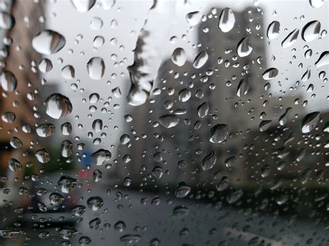 비오는 날 창밖