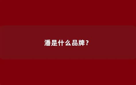 潘是什么品牌 色彩跳动DC事业部