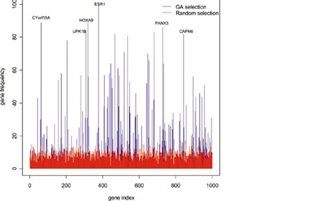 Gene Selection Frequency Via Genetic Algorithmk Nearest Neighbor