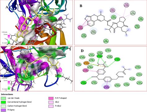 3D Structure Interaction Of Ligand Protein At The Left Side And 2D