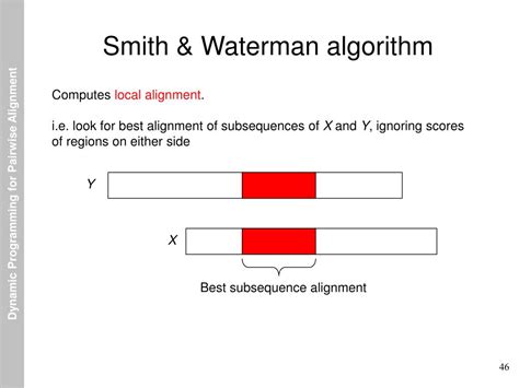 Ppt Dynamic Programming For Pairwise Alignment Powerpoint