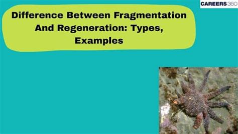 Difference Between Fragmentation And Regeneration Types Examples