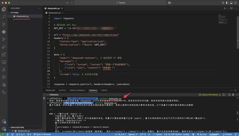 通过 Python 调用 Deepseek R1 Api 的方法！图文教程 知乎