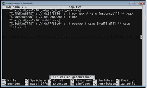 Windows Pe32 Bypass Dep Via Rop Striderpaff