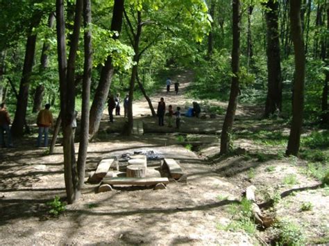 Заштићена природна добра ЈКП Зеленило Београд