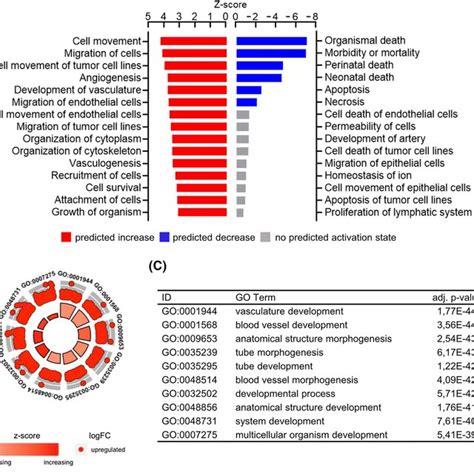 Biological Functions Associated With Cellular Movements And Vascular Download Scientific