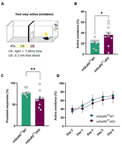 A Scheme Of The Two Way Active Avoidance Twa Test B Mglur5 D1 Download Scientific