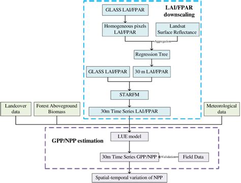 Flowchart Of Gpp Npp Estimates From Downscaling Method And Lue Based