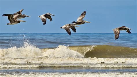 使用springbootshirojwt实现一个系统支撑两套登录流程 知乎