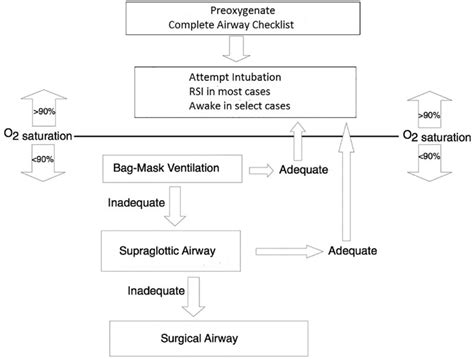 Airway Algorithm Used In The Emergency Department At Hennepin County