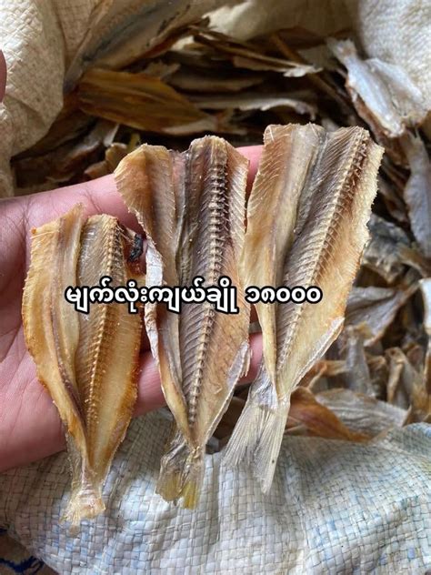 အချိုခြောက်ကြိုက်တဲ့ ချစ်ဖောက်သည်တို့အတွက် အခုမှာ အခုရ အဆင်သင့်ရနိုင်တာလေးတွေပါရှင် ၁ ပိသာစ