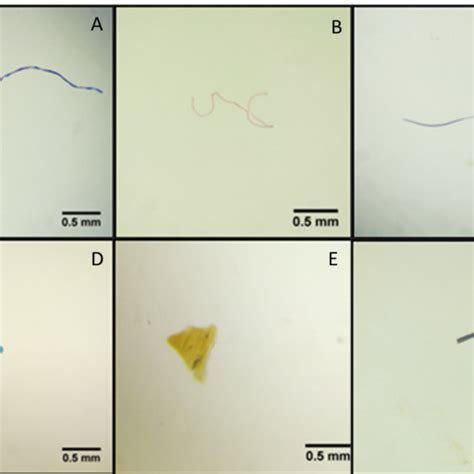 Variously Colored Microplastic Shapes Lines A B C Fragments D