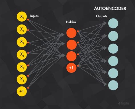 A Diagram Showing The Different Types Of Autoncoders
