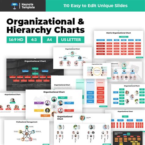 Hierarchy Graphics Designs And Templates Graphicriver