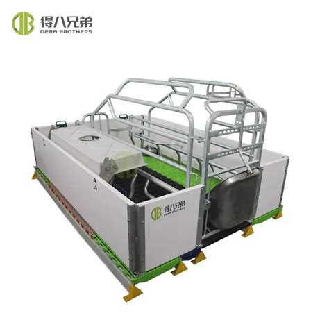 China European Style Farrowing Crate Suppliers Manufacturers Factory