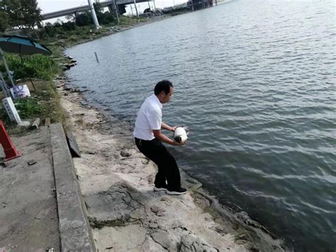 市农业综合执法支队国庆假期坚持执法巡查