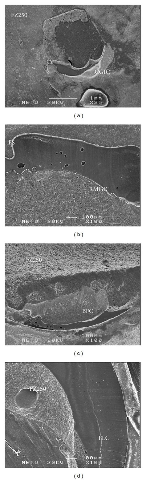 A Representative Cohesive Fracture Showing Good Interlocking Adhesion