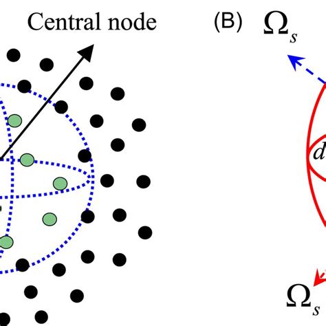Schematic Diagram Of The Lmfs A Supporting Domain And B Artificial Download Scientific