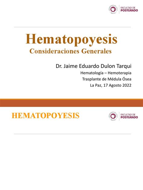 Hematopoyesis Y Morfología Celular Pdf Hematopoyesis Médula ósea