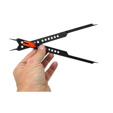 The Proportional Divider