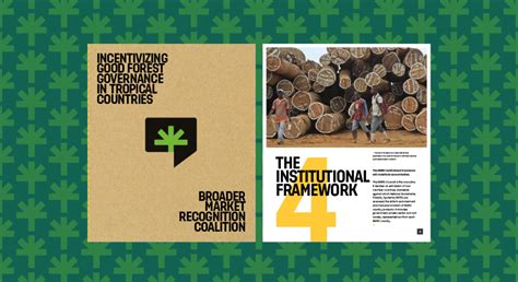 Bmrc Brochure Bmrc Tropical Countries Promoting Sustainable Forestry