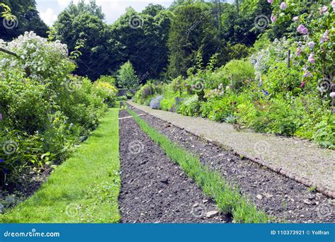 Path In Cottage Garden Full Of Colourful Flowers Shrubs Trees