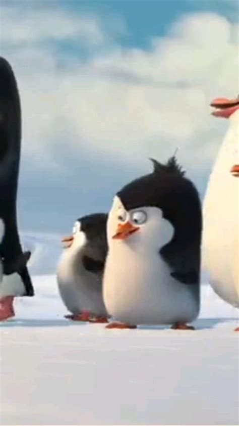 Penguins Of Madagascar Penguins Of Madagascar Penguins Penguin Images