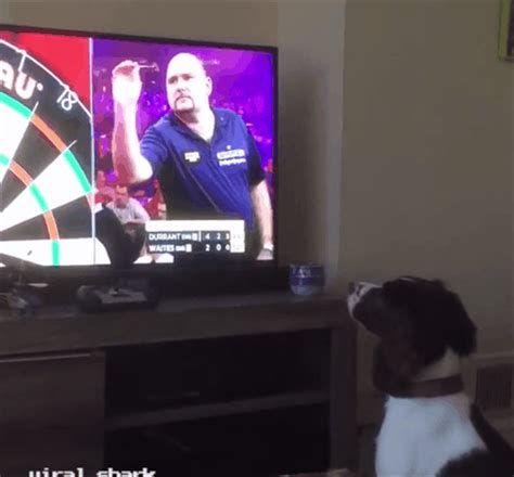 Fetch Album On Imgur