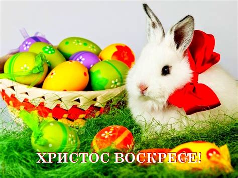 КАРТИЧКИ Архиви Страница 2 от 8 Doo Bg КАРТИЧКИ МОДА РЕЦЕПТИ СЪВЕТИ