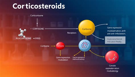 Cortisone Vs Prednisone Understanding The Differences
