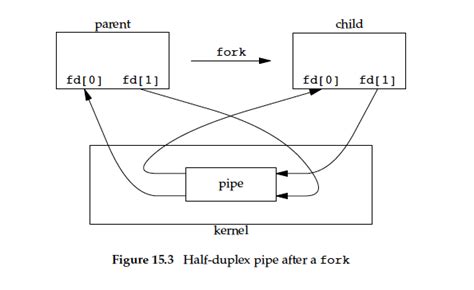C Pipe Set Fd Have The Same File Descriptor As Socket Accept Function