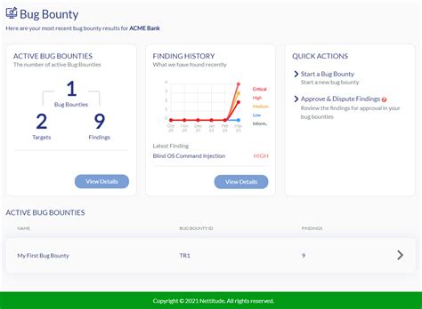 Bug Bounty Platform Continuous Penetration Testing Nettitude