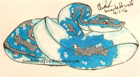 Drawing Ball Python By ScarlettWolf OurArtCorner
