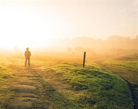 High Risk Myeloma And The Benefit Of Tandem Transplants With Long Term Revlimid Maintenance