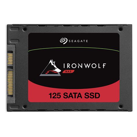 Seagate SSD IronWolf 125 1Tb - SSD - LDLC | Holy Moley