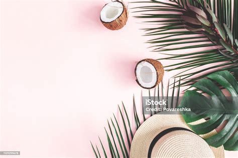 여름 구성입니다 열 대 야 자 나뭇잎 모자 파스텔 핑크 배경에 코코넛 여름 개념입니다 평면 위치 최고 보기 복사 공간 모자 모자류에 대한 스톡 사진 및 기타 이미지 Istock