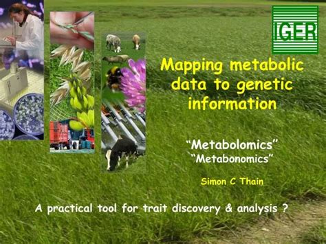 PPT Mapping Metabolic Data To Genetic Information Metabolomics Metabonomics Simon C Thain