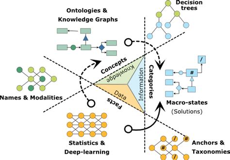 anatomy of complexity caminao s ways