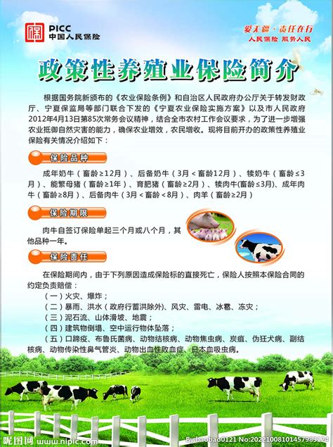 农业保险单页设计图展板模板广告设计设计图库昵图网